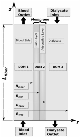 Evaluation of the Toxin-to-Protein Binding Rates during Hemodialysis ...