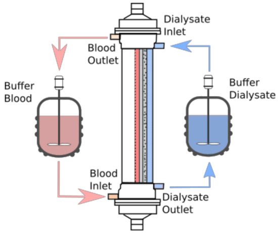 Evaluation of the Toxin-to-Protein Binding Rates during Hemodialysis ...