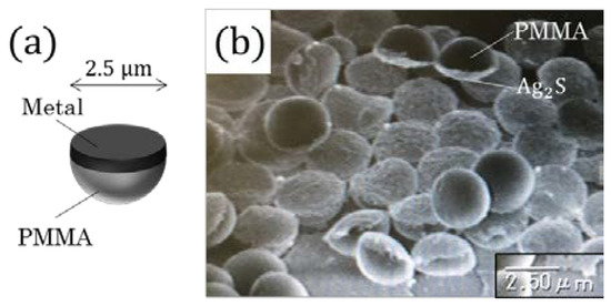 External Field Response and Applications of Metal Coated Hemispherical ...