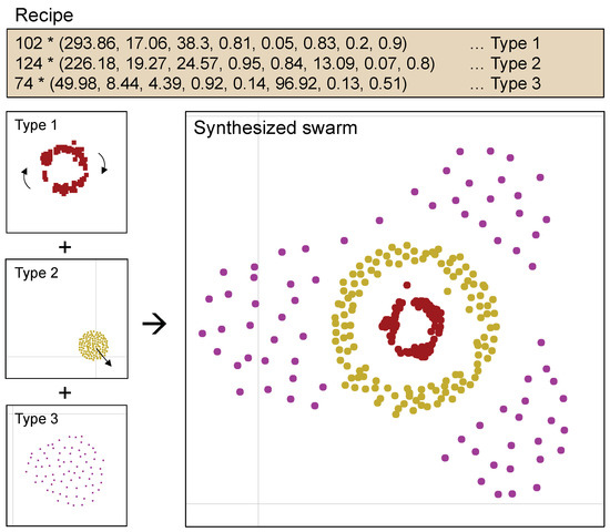 Exploration of Swarm Dynamics Emerging from Asymmetry