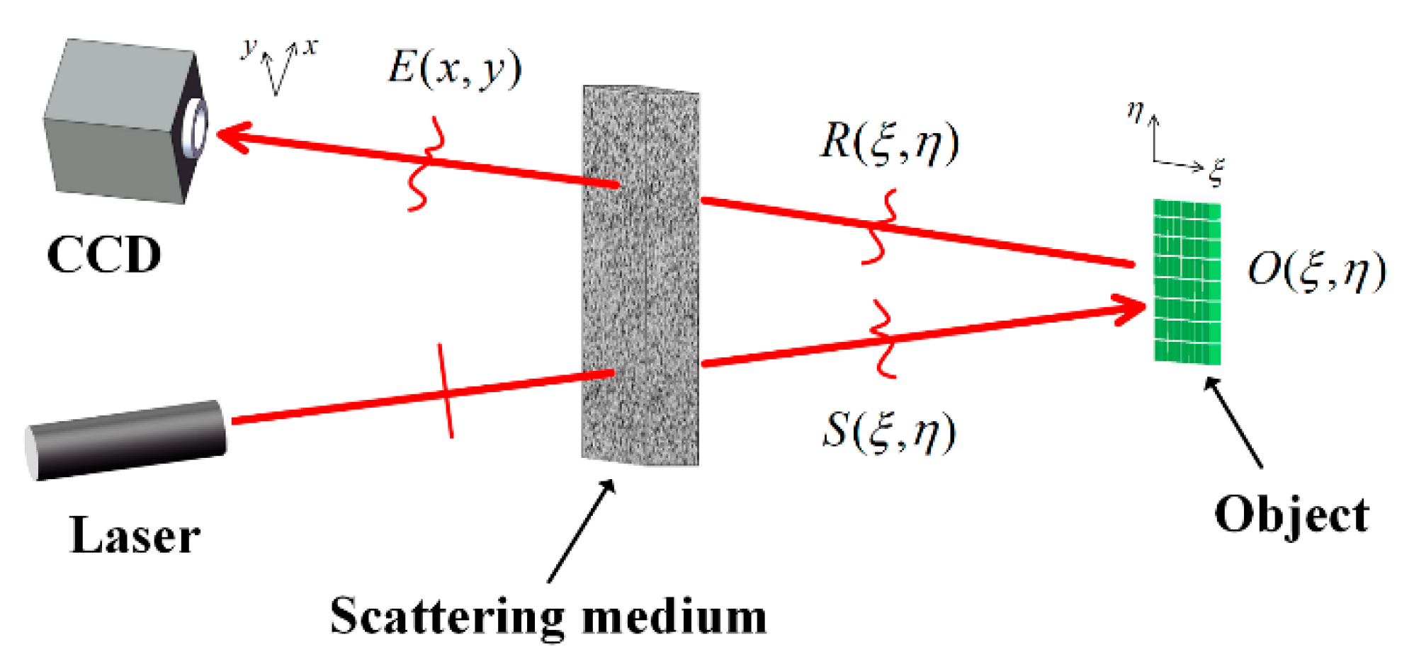 An Early Study on Imaging 3D Objects Hidden Behind Highly Scattering Media: a Round-Trip Optical ...
