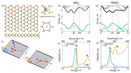 Valley-Selective Response of Nanostructures Coupled to 2D Transition ...