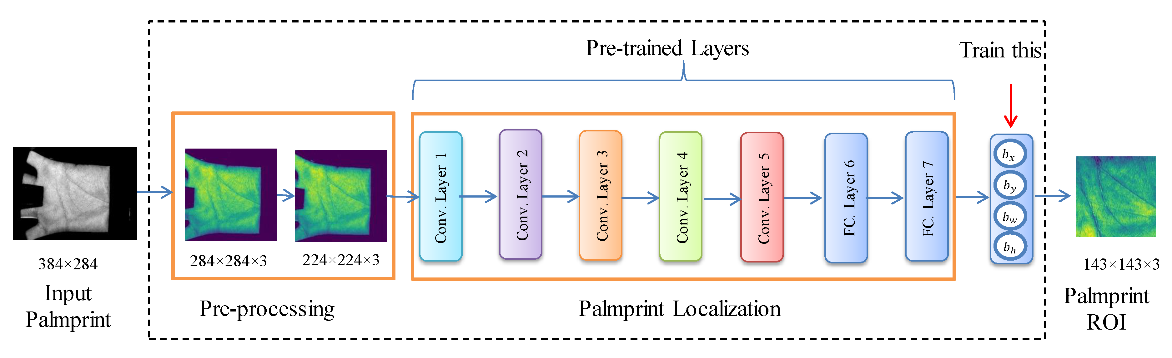Deep Region of Interest and Feature Extraction Models for Palmprint Verification Using ...