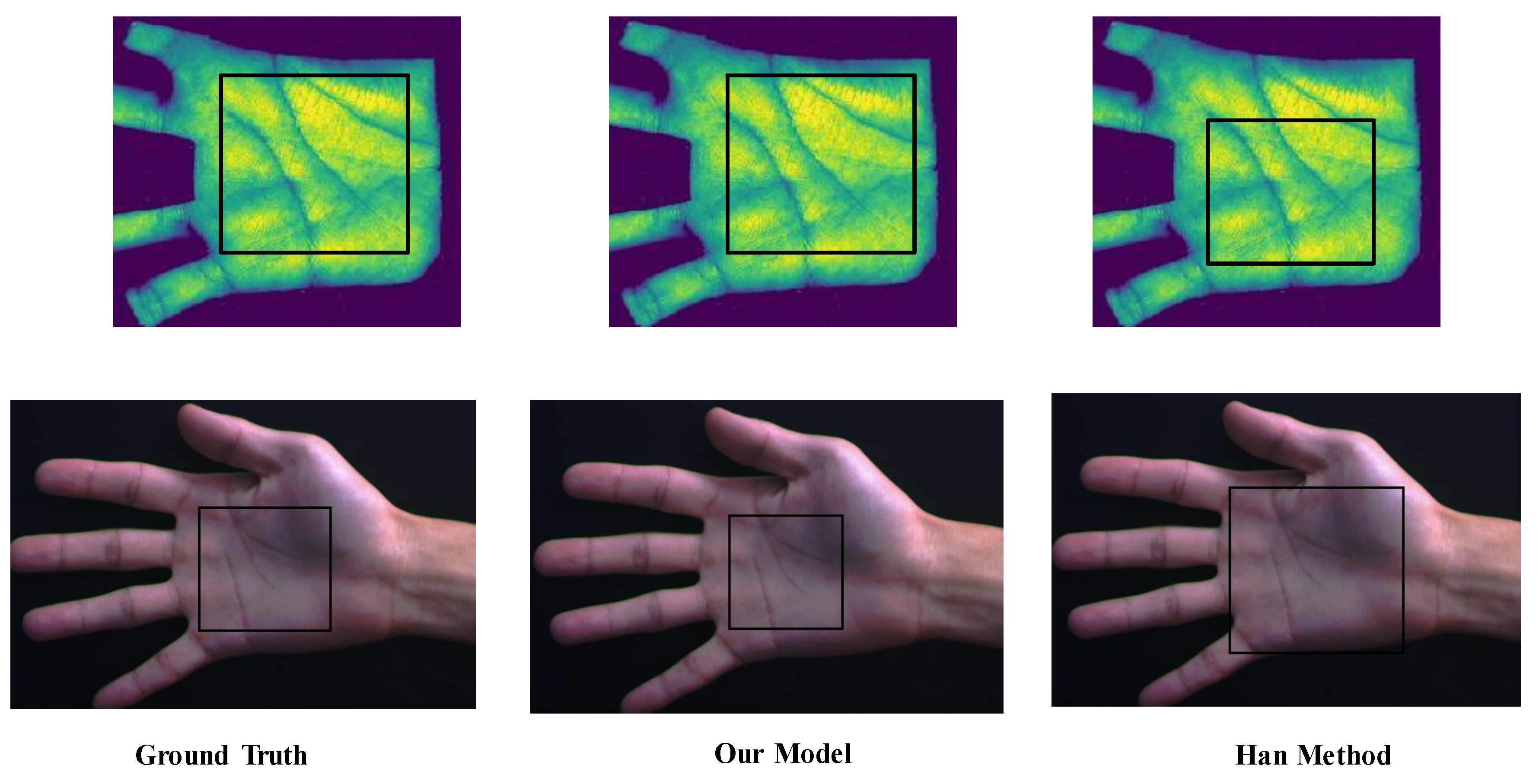 Deep Region of Interest and Feature Extraction Models for Palmprint Verification Using ...