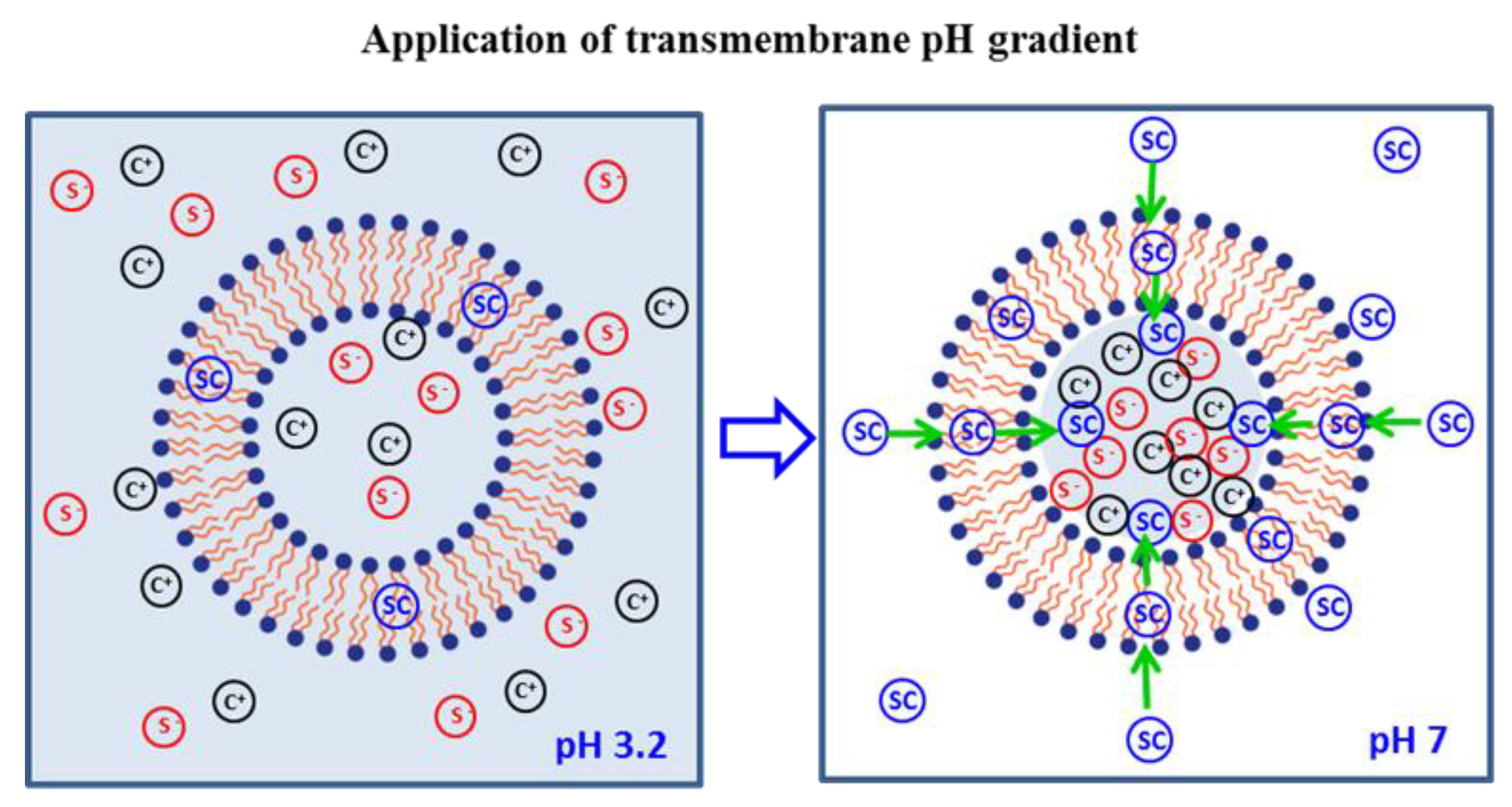 Sildenafil Citrate Liposomes for Pulmonary Delivery by Ultrasonic ...