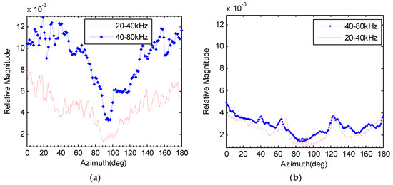 Feature of Echo Envelope Fluctuation and Its Application in the ...