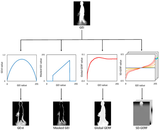 Gait Energy Response Functions for Gait Recognition against Various Clothing and Carrying Status