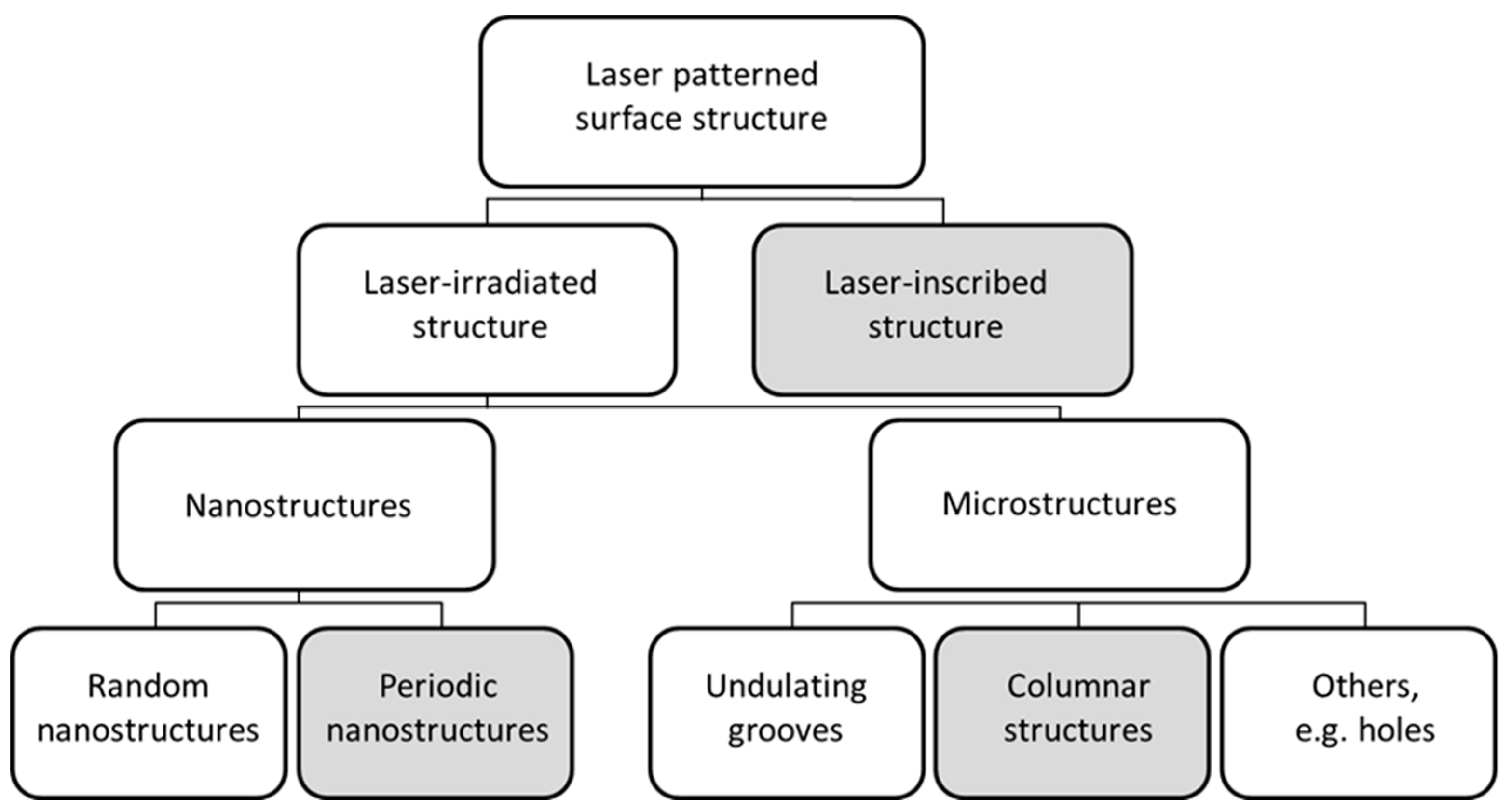 Biomimetic Liquid-Repellent Surfaces by Ultrafast Laser Processing