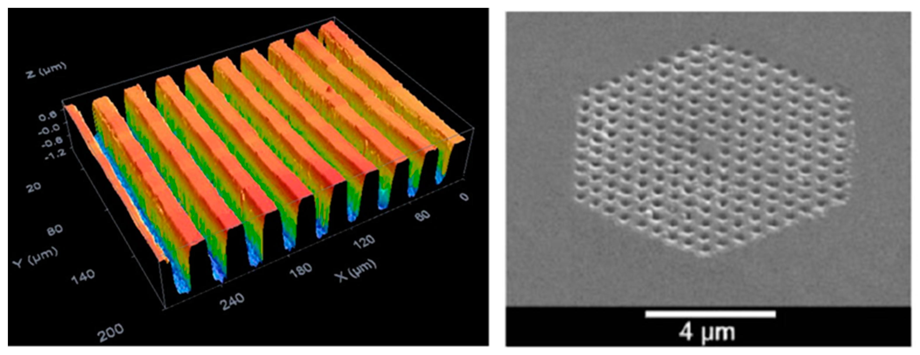 Biomimetic Liquid-Repellent Surfaces by Ultrafast Laser Processing