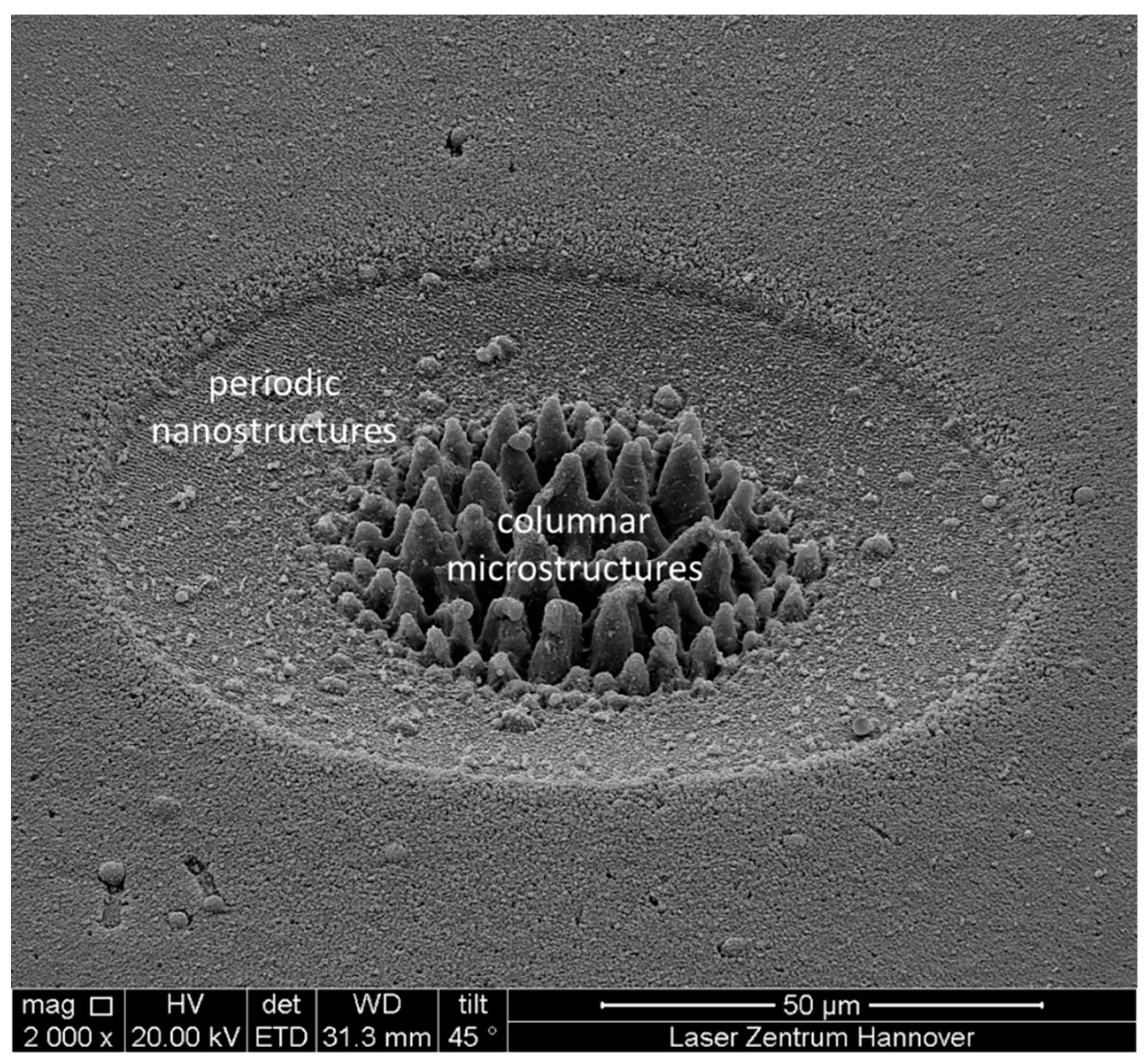 Biomimetic Liquid-Repellent Surfaces by Ultrafast Laser Processing