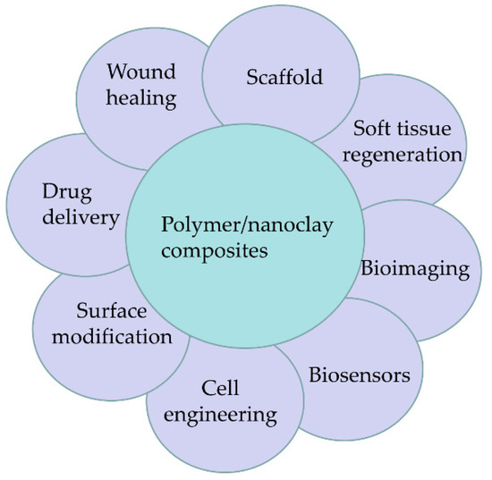 A Review of the Synthesis and Applications of Polymer–Nanoclay Composites