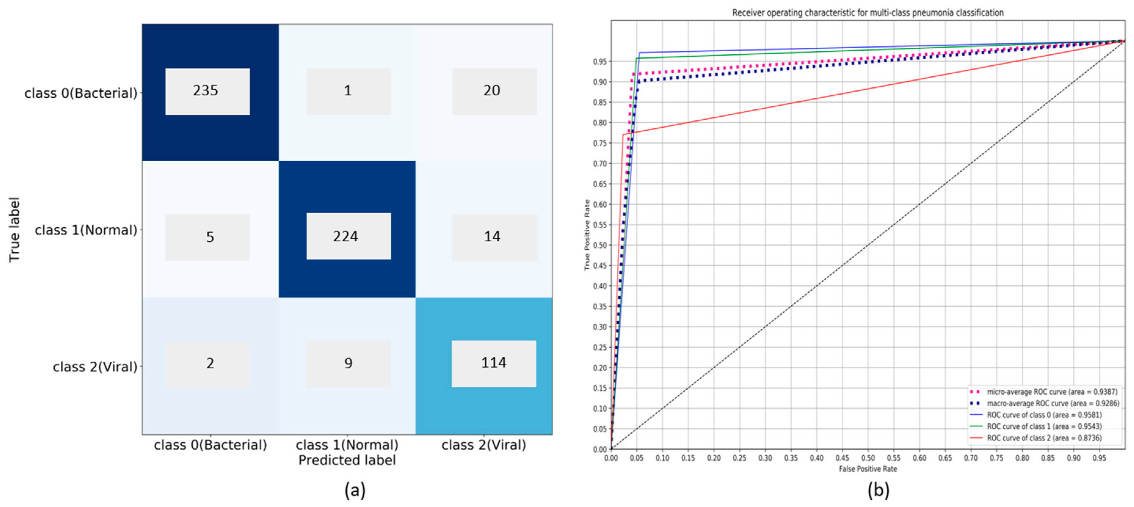 Visualization and Interpretation of Convolutional Neural Network Predictions in Detecting ...