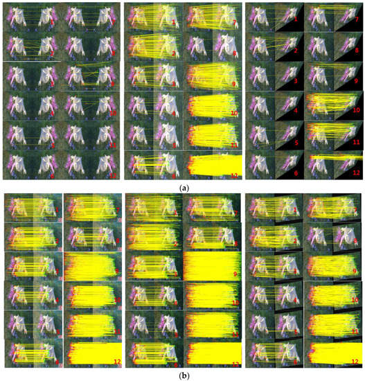 Video Searching and Fingerprint Detection by Using the Image Query and PlaceNet-Based Shot ...