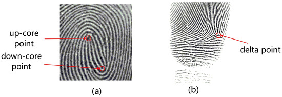 A Method for Singular Points Detection Based on Faster-RCNN