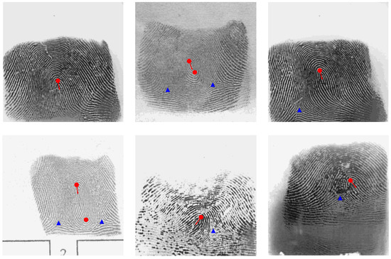 A Method for Singular Points Detection Based on Faster-RCNN