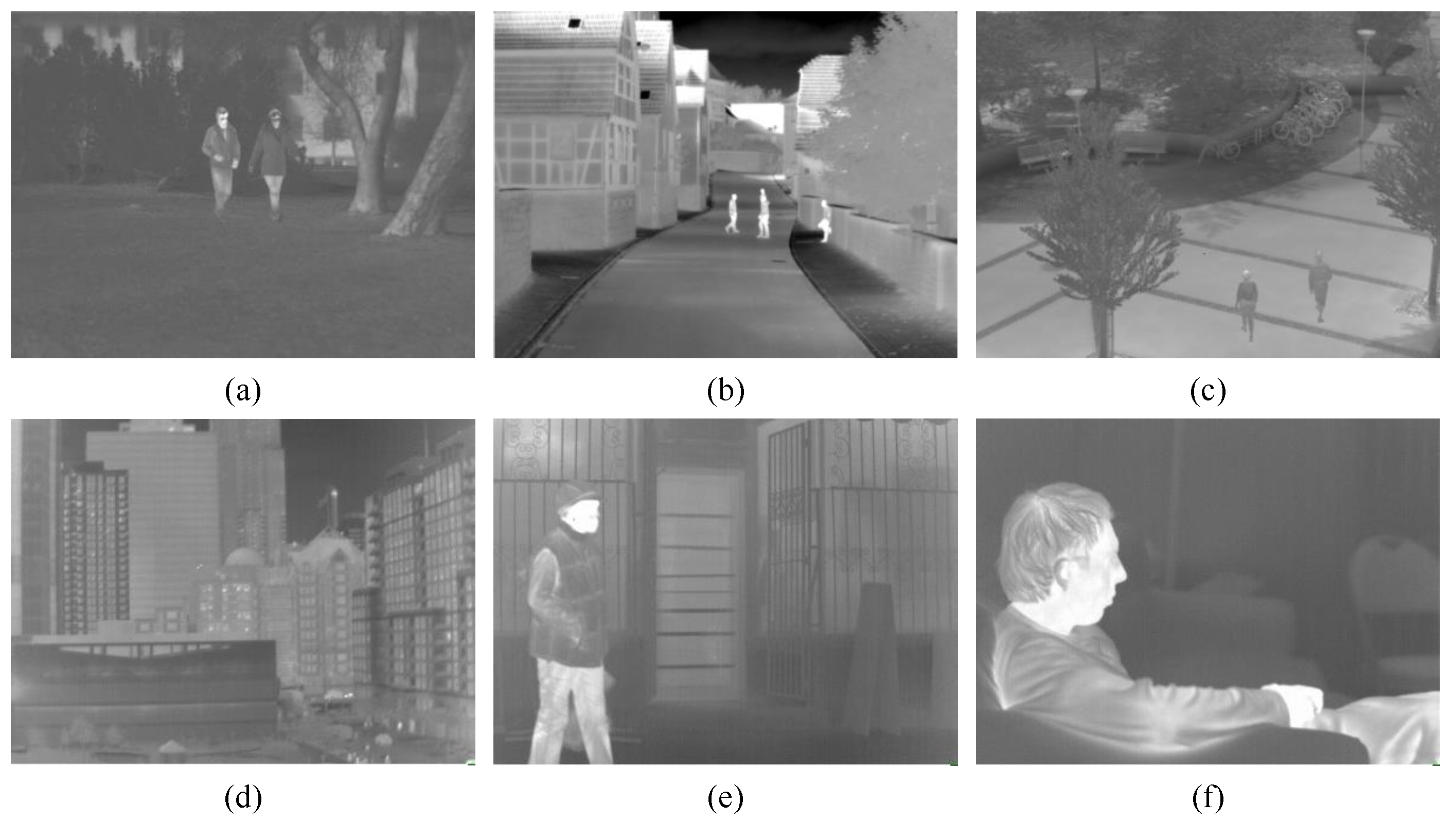 Infrared Image Super-Resolution Reconstruction Based on Quaternion Fractional Order Total ...