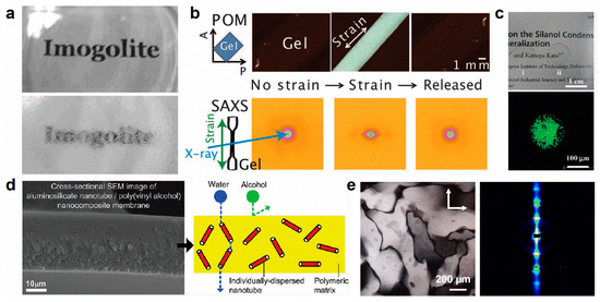 Imogolite Nanotubes: A Flexible Nanoplatform with Multipurpose Applications