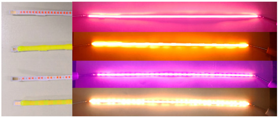 Fabrication Process and Performance Analysis of CSP LED Filaments with ...
