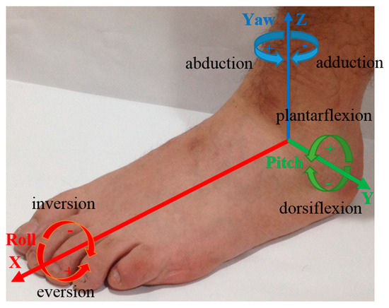 Foot-Mounted Inertial Measurement Units-Based Device for Ankle ...