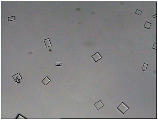 Membrane-Assisted Crystallization: A Molecular View of NaCl Nucleation ...