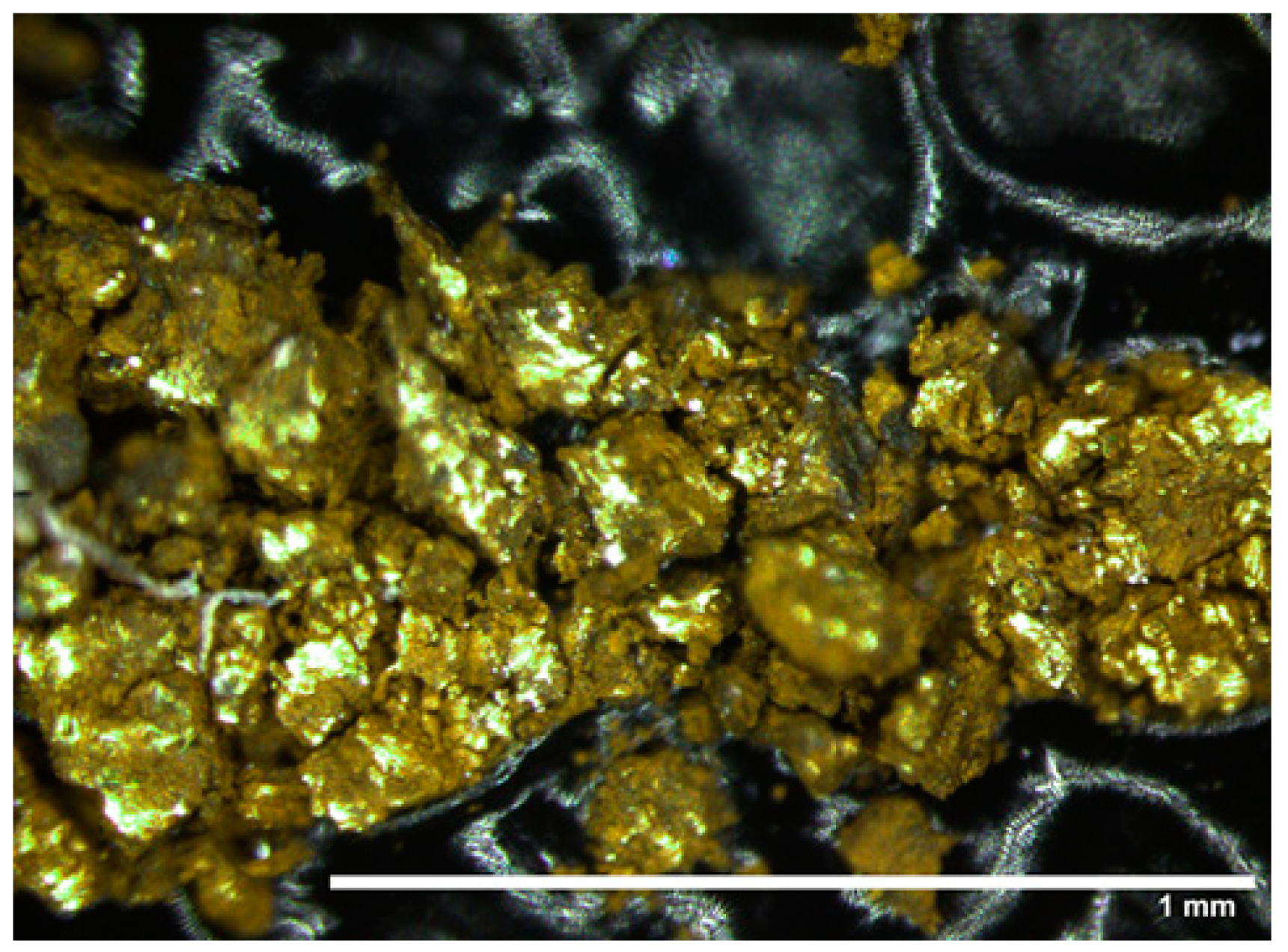 Adsorption of Gold(I) and Gold(III) Using Multiwalled Carbon Nanotubes