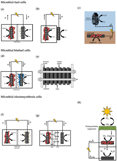 Microbial Fuel Cells, Related Technologies, and Their Applications