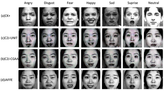 Unsupervised Domain Adaptation with Coupled Generative Adversarial ...