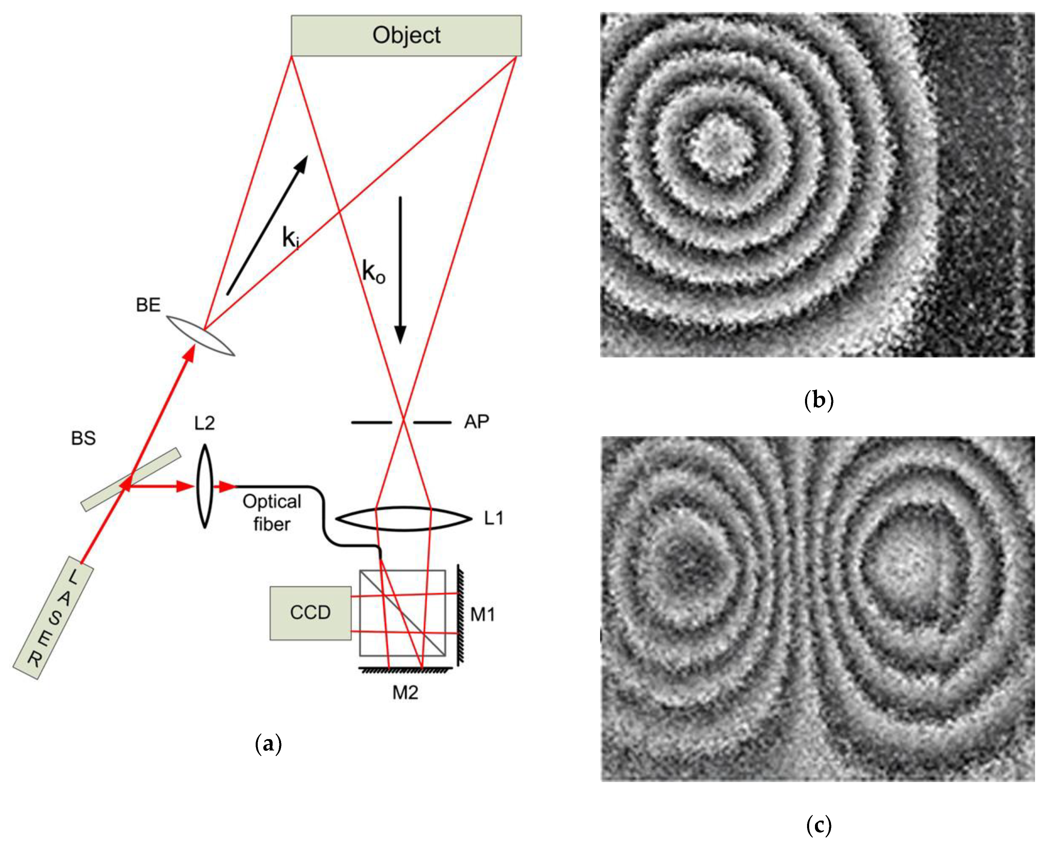 Digital Shearography for NDT: Phase Measurement Technique and Recent ...