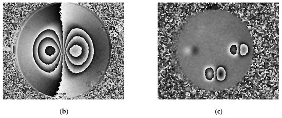 Digital Shearography for NDT: Phase Measurement Technique and Recent ...