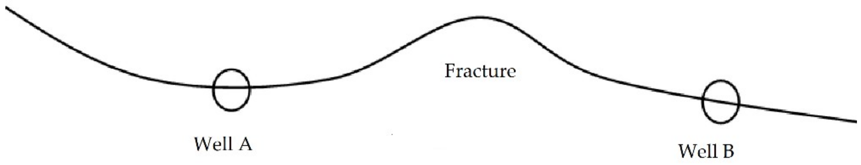 Investigation on Interference Test for Wells Connected by a Large Fracture
