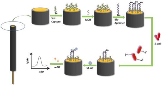 Applied Sciences | Special Issue : Nano-Biointerface for Biosensing
