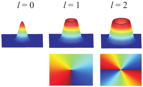 Topological Qubits as Carriers of Quantum Information in Optics