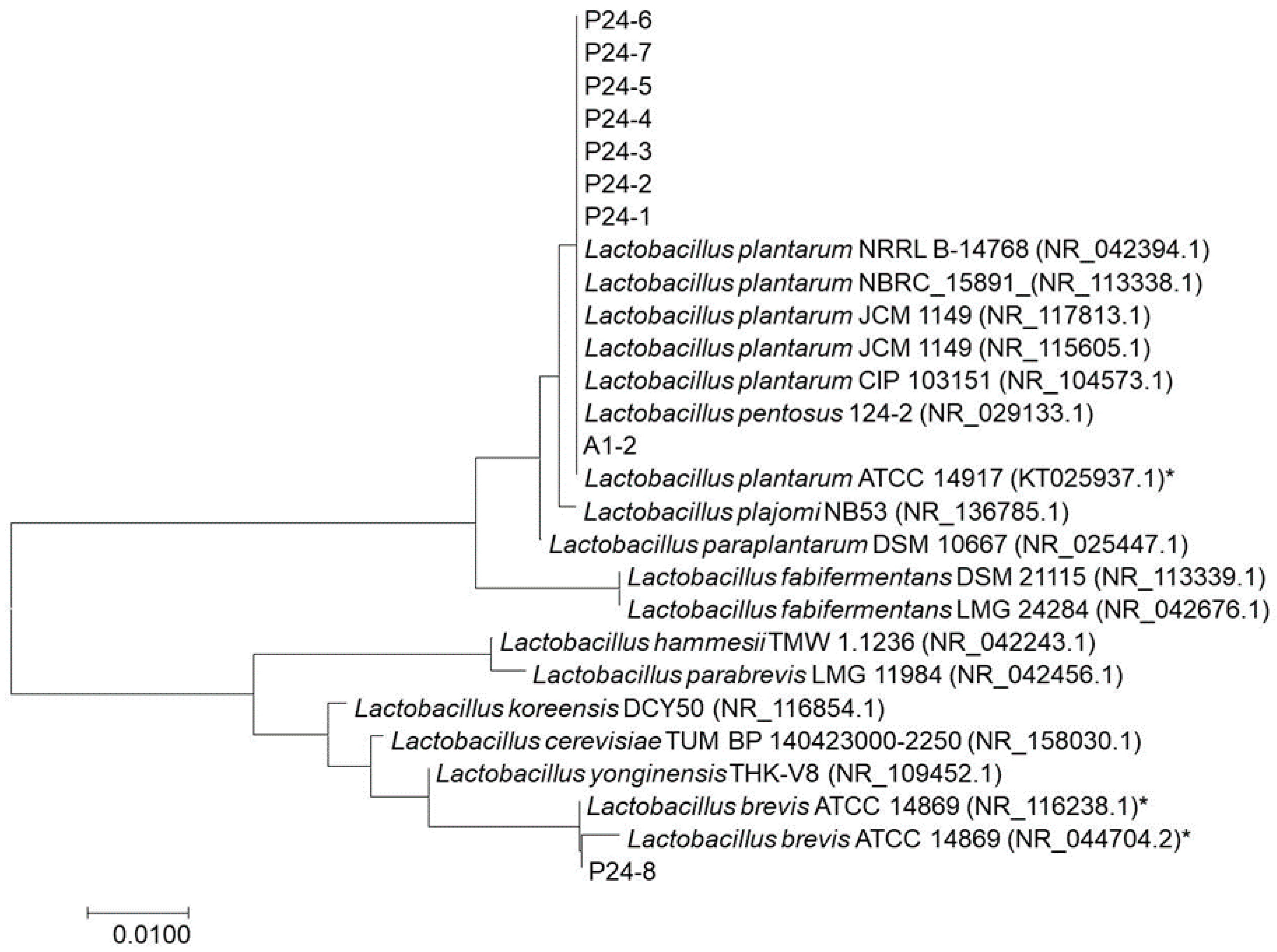 In Vitro Probiotic Potential of Lactic Acid Bacteria Isolated from ...