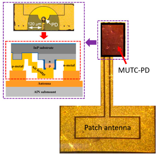 High-Speed Photodetectors for Microwave Photonics
