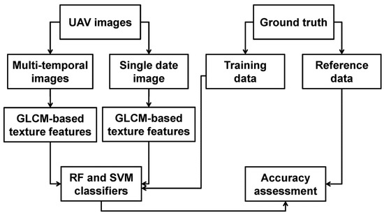 Applied Sciences | Free Full-Text | Impact of Texture Information on ...