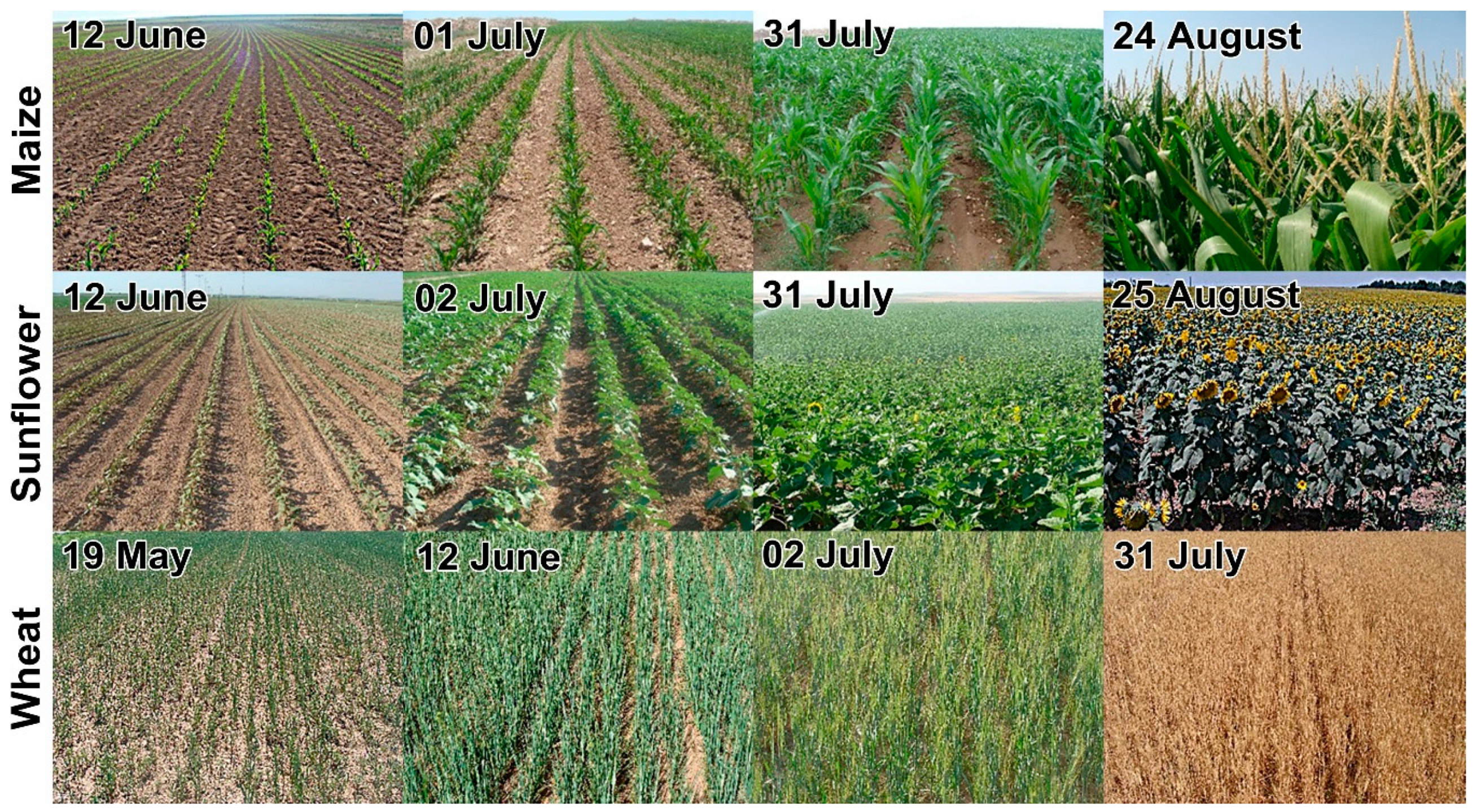 Applied Sciences | Free Full-Text | Sensitivity Analysis of Multi-Temporal Sentinel-1 SAR ...