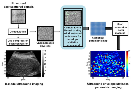Applied Sciences | Special Issue : Ultrasound Technology for Clinical ...