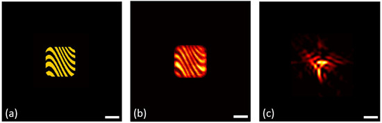 Image Transmission through Scattering Media Using Ptychographic ...