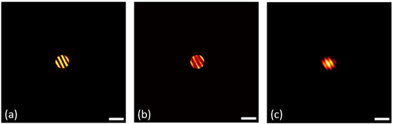 Image Transmission through Scattering Media Using Ptychographic ...