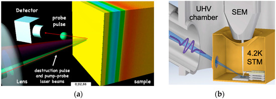 The Importance of Topological Defects in Photoexcited Phase Transitions ...