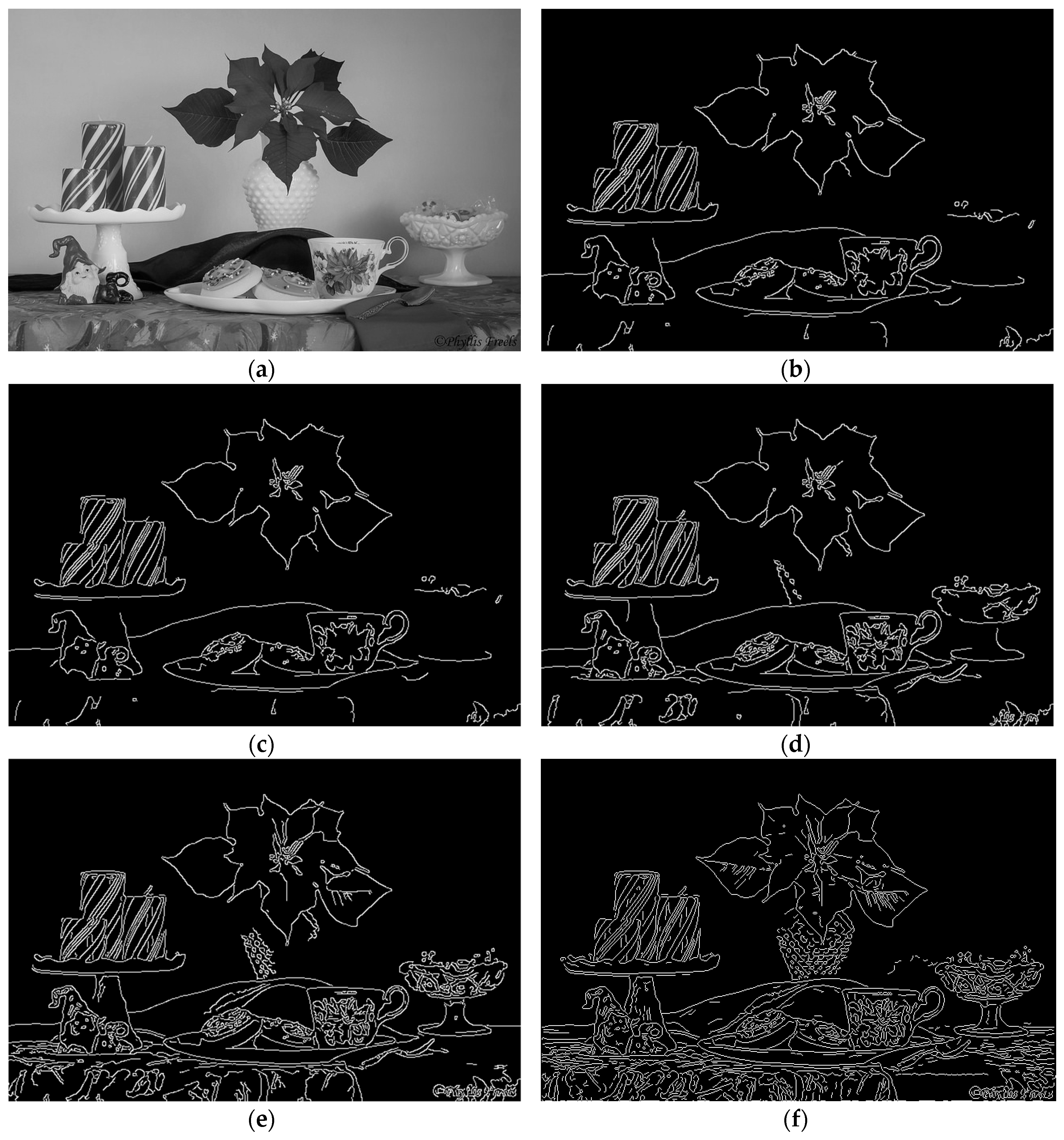 Texture Construction Edge Detection Algorithm