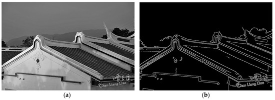 Texture Construction Edge Detection Algorithm