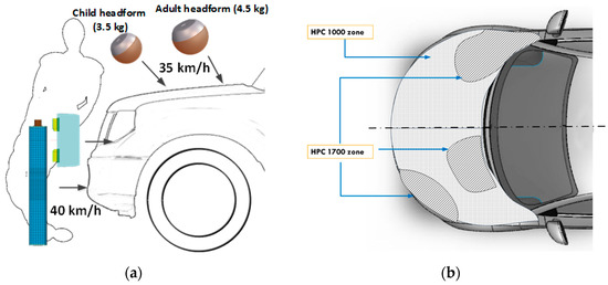 Method to Assess and Enhance Vulnerable Road User Safety during Impact ...