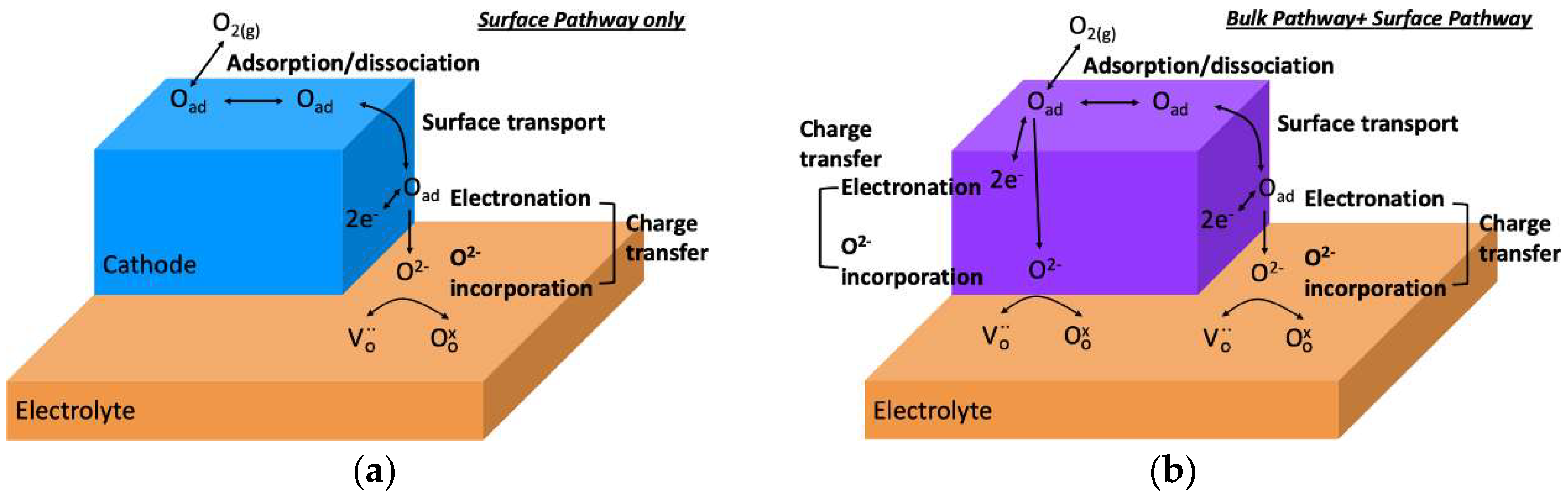 Applied Sciences | Free Full-Text | Controlling the Oxygen Electrocatalysis on Perovskite and ...