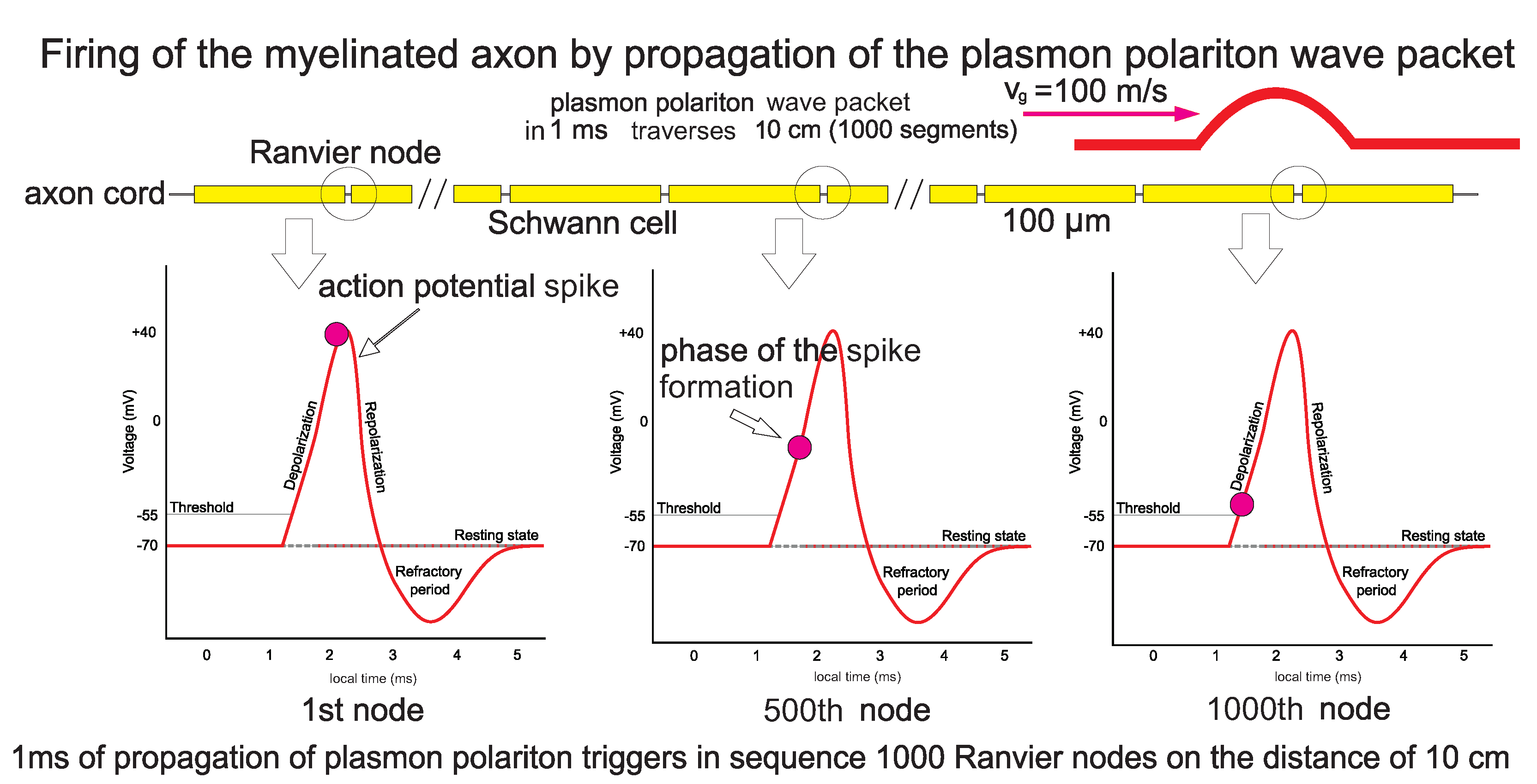 wiring diagram cell100 - Wiring Diagram
