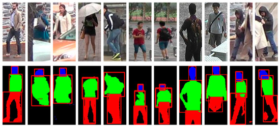 Parts Semantic Segmentation Aware Representation Learning for Person Re ...