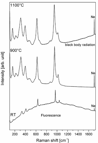 In Situ Hyperspectral Raman Imaging: A New Method to Investigate ...