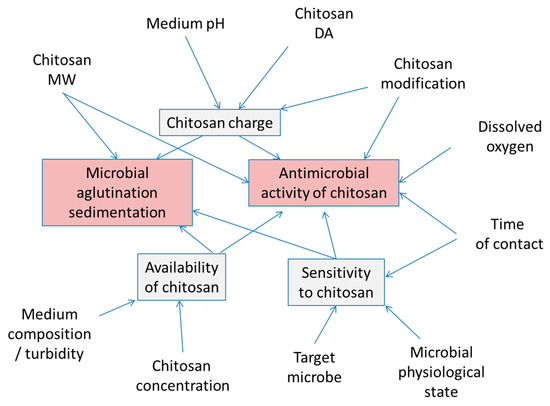 Modification of Chitosan for the Generation of Functional Derivatives