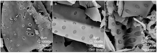 Biochar from Microwave Pyrolysis of Artemisia Slengensis ...
