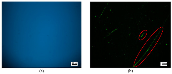 Quantitative Evaluation of Subsurface Damage by Improved Total Internal ...